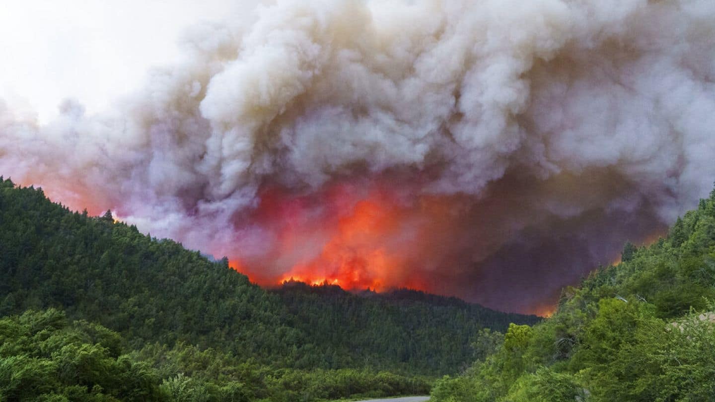 Fierce fire in the forests of Argentina's Santa Province | Zee News