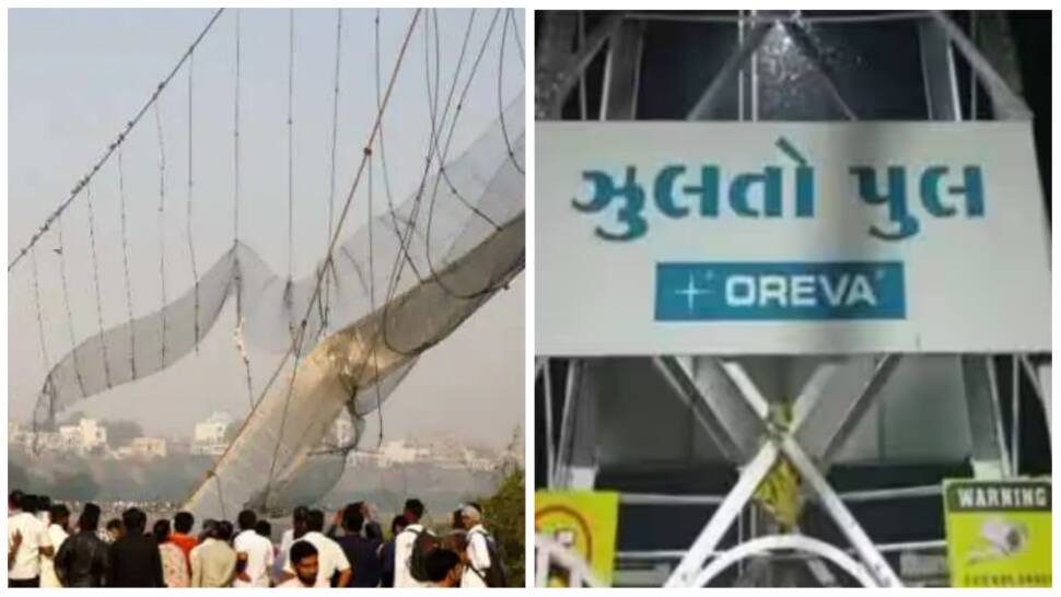 Morbi Bridge Collapse: 7 Accused Seek Bail, Claim Their Roles Were Small | India News | Zee News