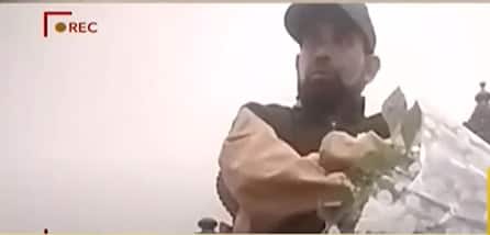 Sting Operation EXCLUSIVE: Chetan Sharma Makes Big Disclosure On Virat Kohli-Saurav Ganguly ...