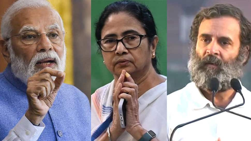2024 Lok Sabha Election Survey: Who is the 'Best PM Candidate'; How ...