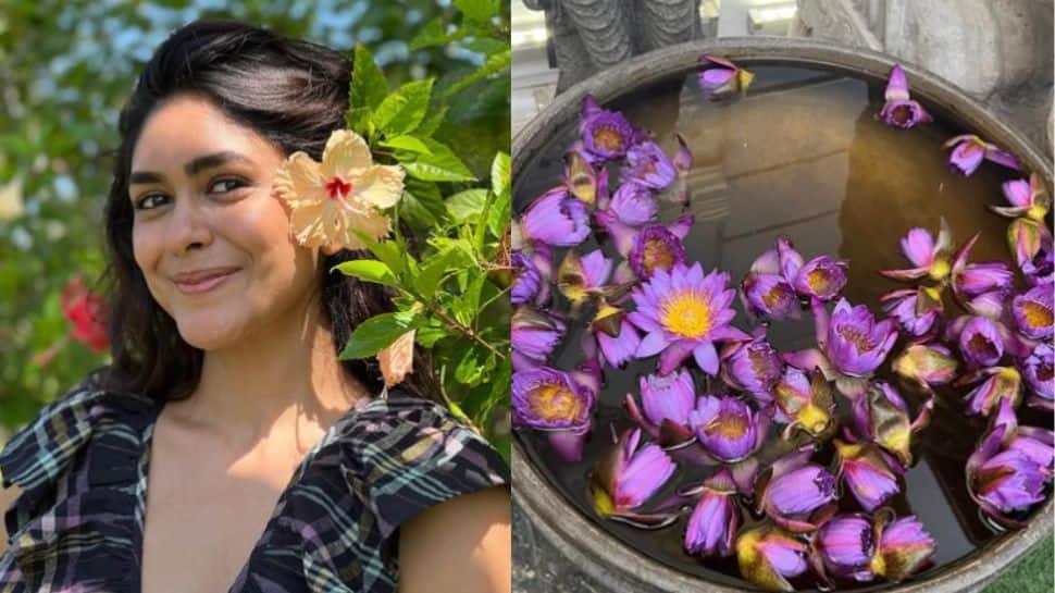 Mrunal Thakur Sizzles In Blue Bikini In Recent Photo Dump From Her ...