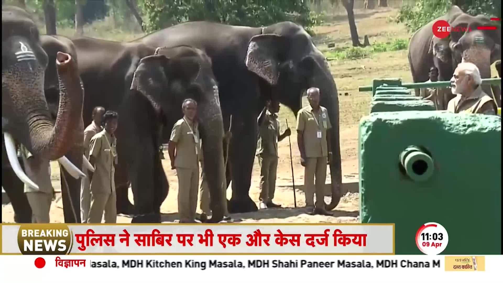 PM Modi arrives at Mudumalai Tiger Reserve in Safari Look | Zee News