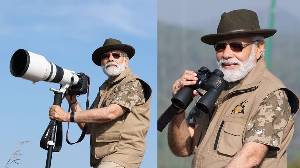 PM Modi Goes On Jungle Safari To Mark 50 Years Of 'Project Tiger ...