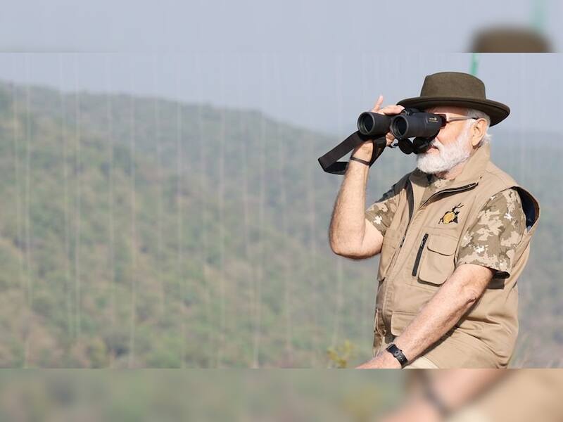 PM Modi Goes On Jungle Safari To Mark 50 Years Of 'Project Tiger ...