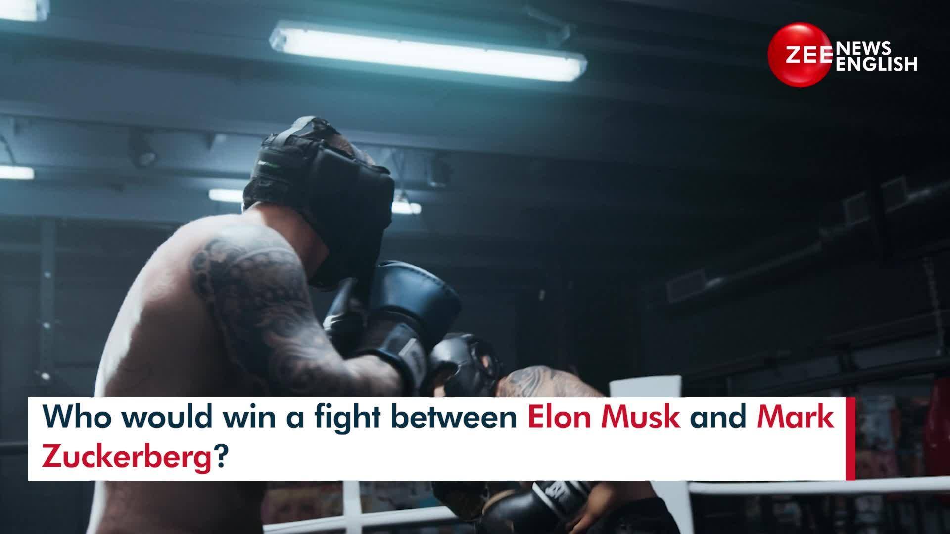 Elon Musk vs Mark Zuckerberg: Who would triumph in the cage fight ...