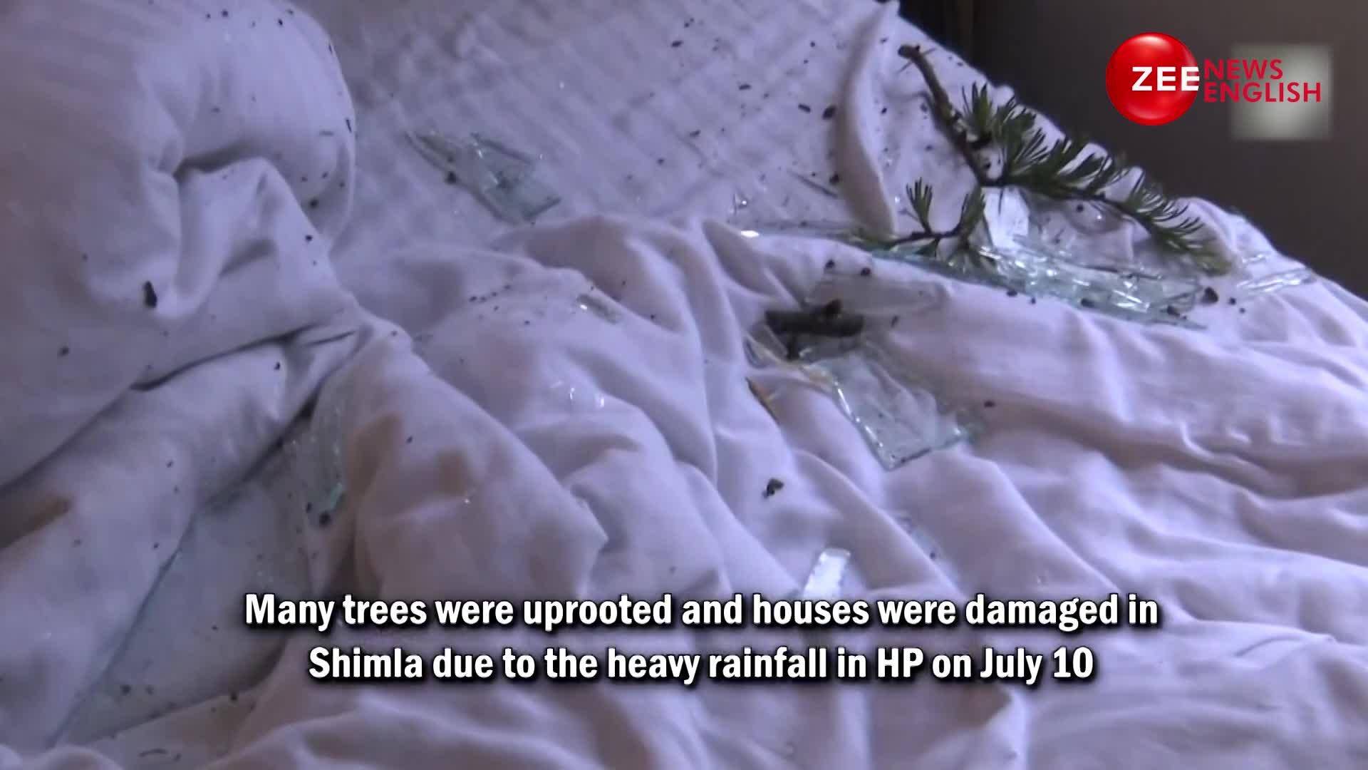 HP: Trees uprooted, houses damaged due to heavy rainfall in Shimla ...