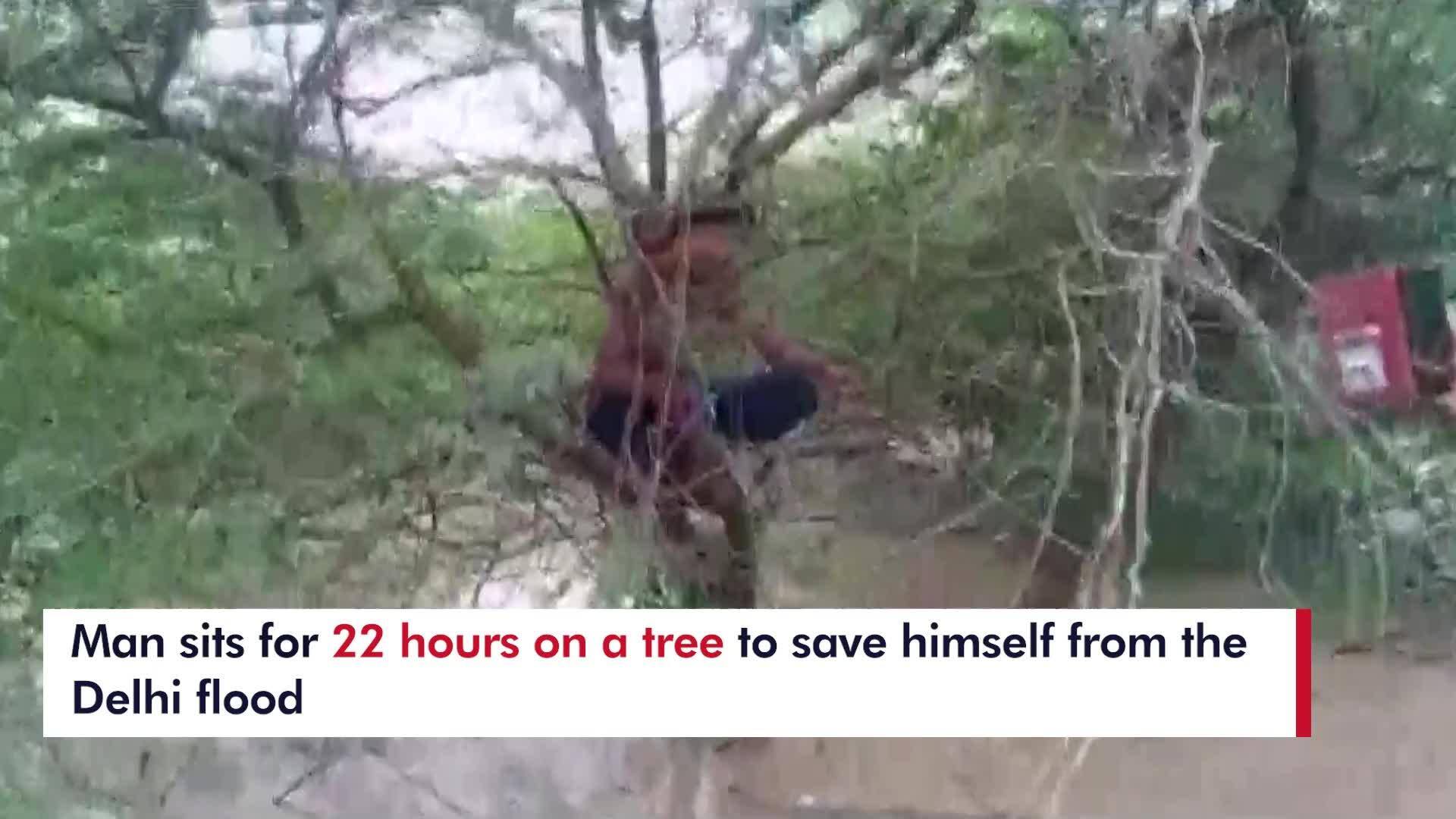 Man Sits On A Tree For 22 Hours In Delhi To Save Him From Yamuna Water Rise | Zee News
