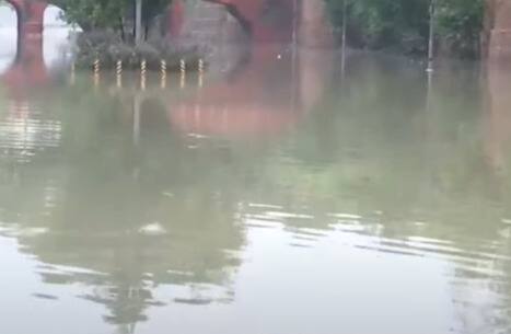 Watch EXCLUSIVE Report from Underpass behind Red Fort | Zee News