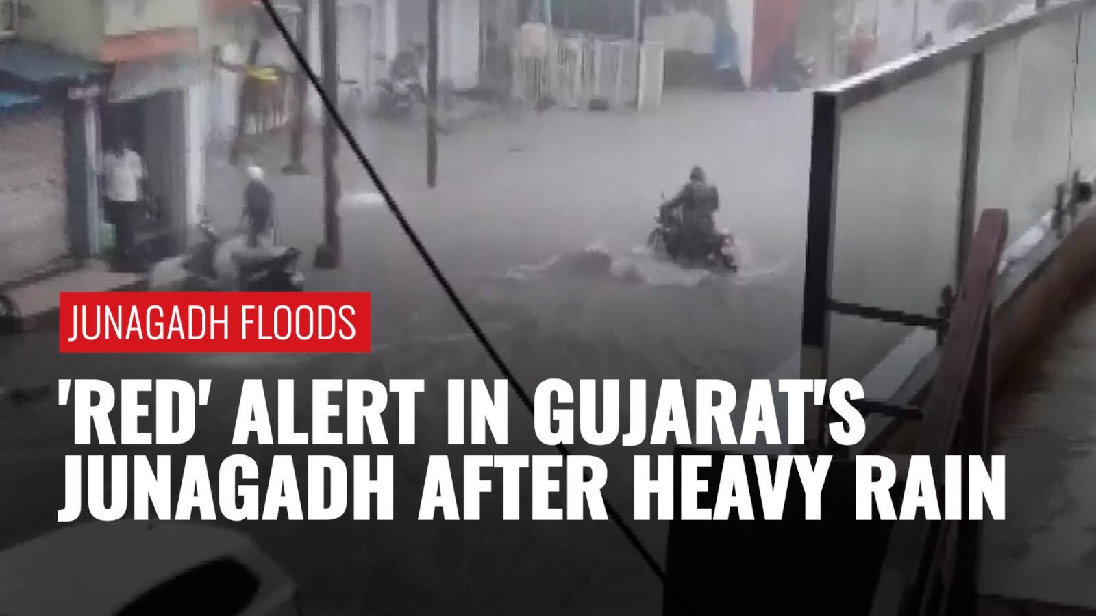 Flash Floods In Gujarat's Junagadh Sweep Away Cars, Animals, And ...
