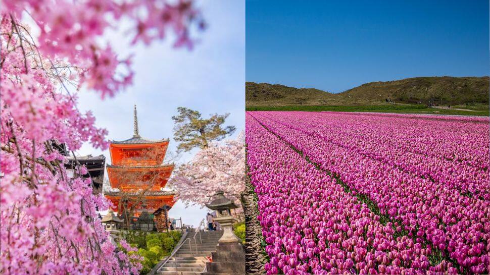 Barbie World: 7 World's Prettiest Pink Travel Destinations You Must ...