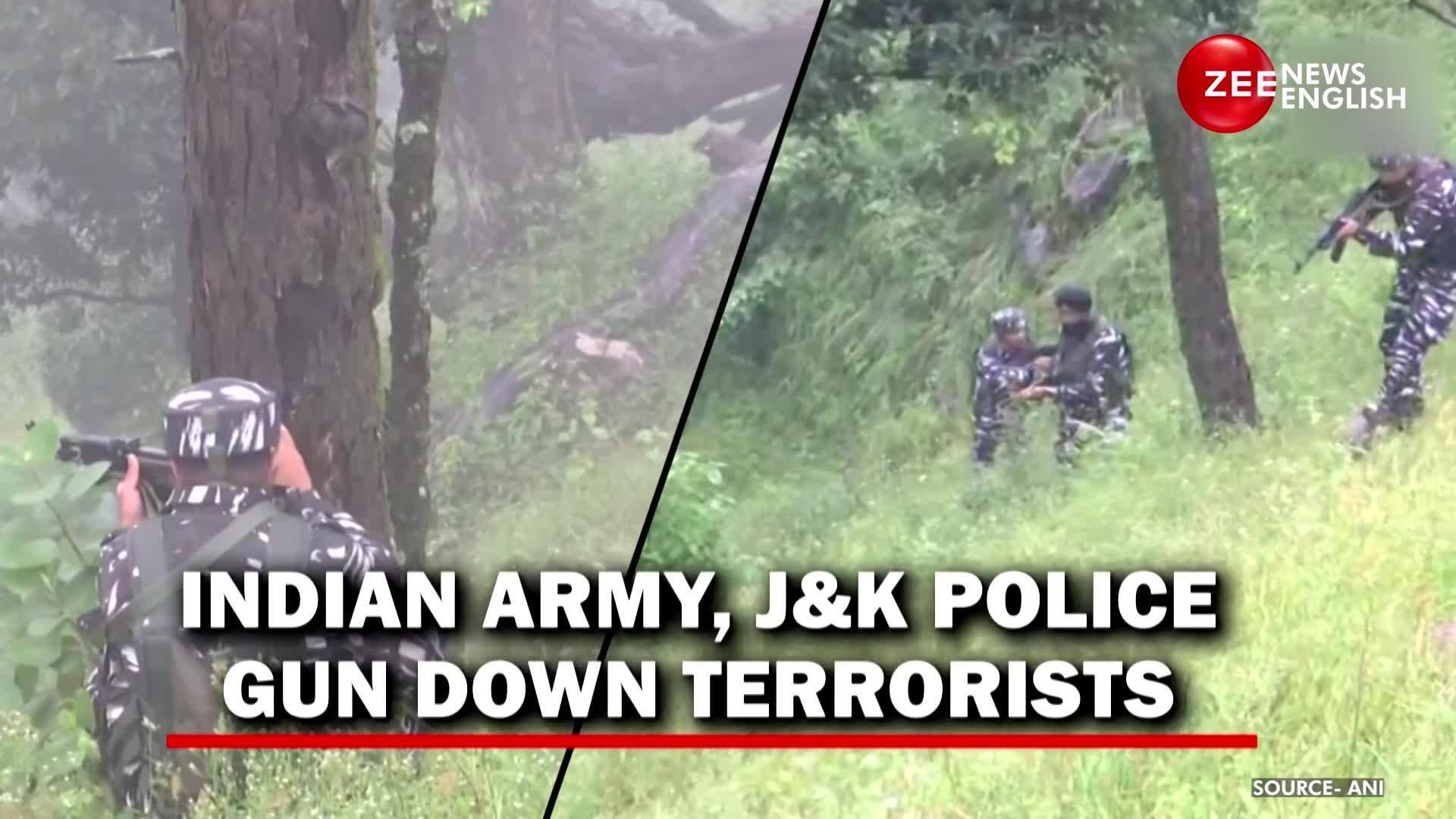 ‘RIP Kent’: Indian Army’s six-year-old female dog lays down her life in ...