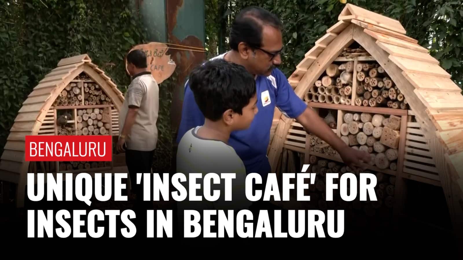 ‘Insect Cafe’ Unique Home Created For Tiny Insects In Bengaluru's ...