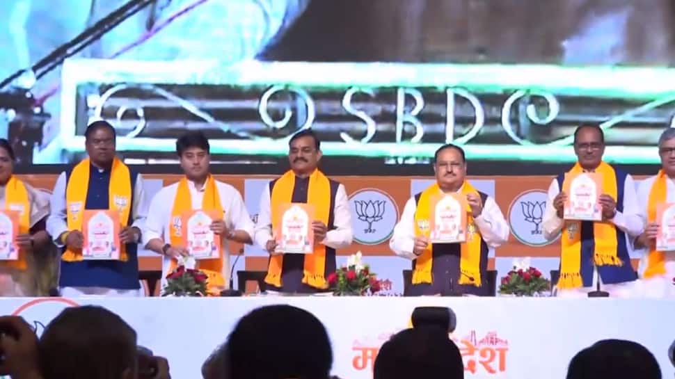 BJP Unveils Its Manifesto 'Sankalp Patra' For Madhya Pradesh Assembly ...