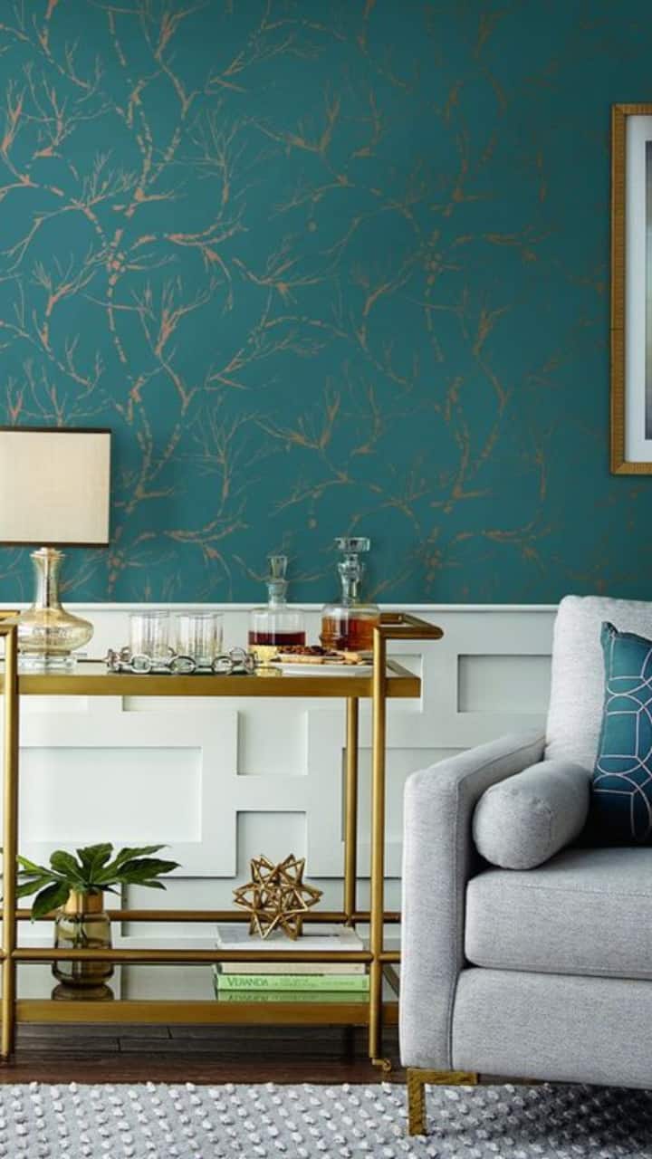 Wall Color Design Ideas