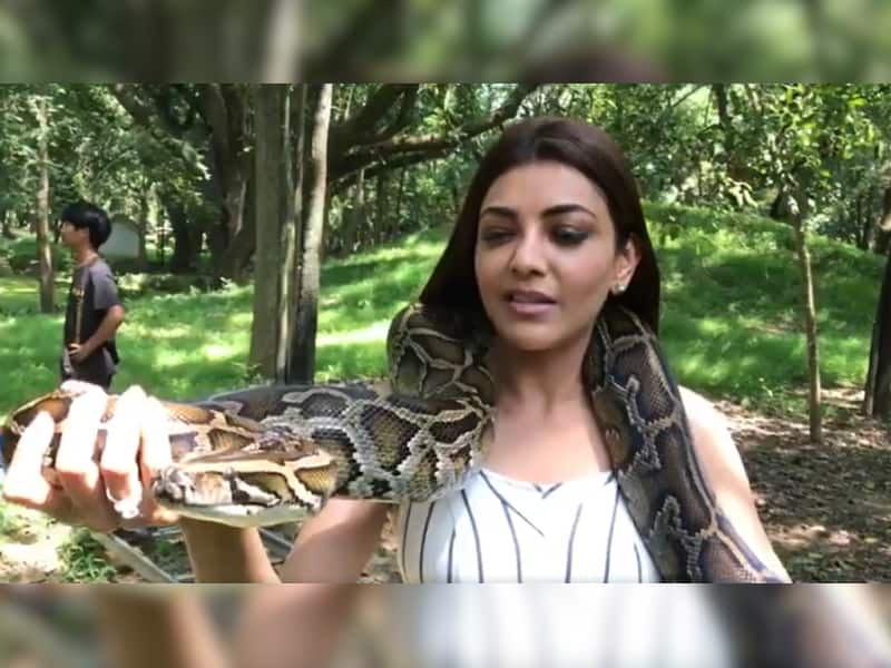 Indian Actors, Celebrities Who Got Clicked With Snakes, See Pics | News ...