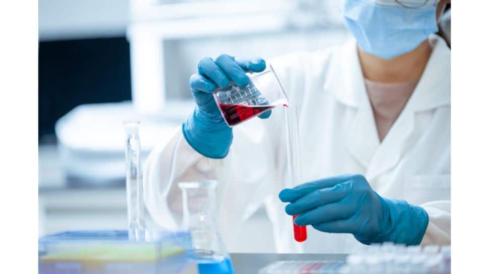 Masteron 101 For Beginners | India News | Zee News