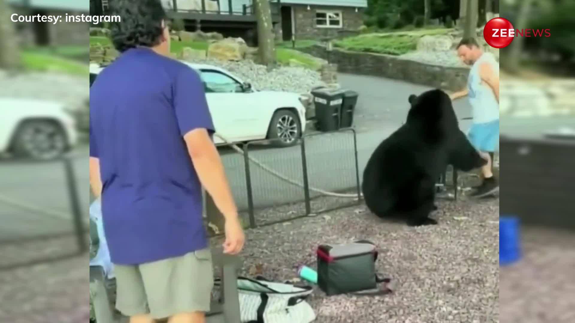 VIRAL VIDEO : Bear Crashes Party, Surprises Everyone | Zee News