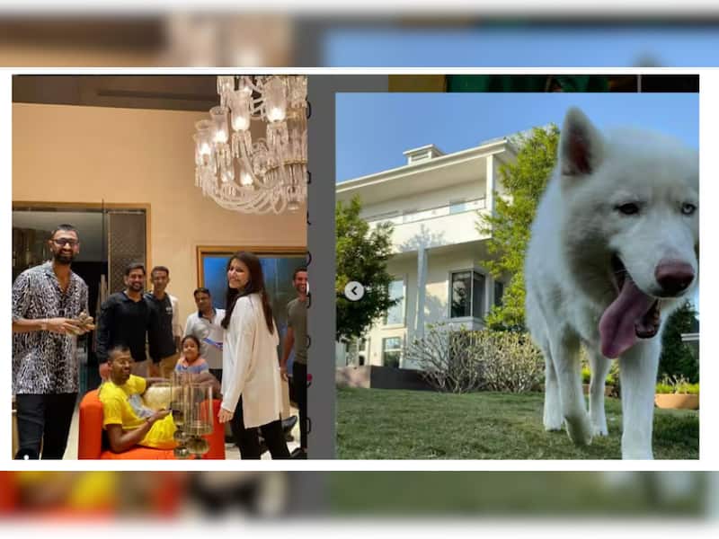 Pics: Inside MS Dhoni's Rs 6 Crore-Worth Ranchi Farmhouse; Check Photos ...