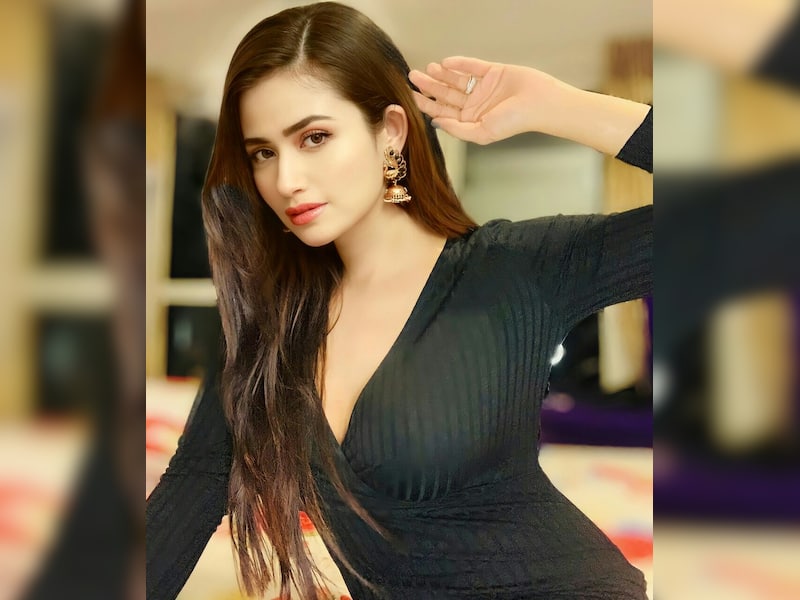 Who Is Sana Javed? Pakistan Cricketer Shoaib Malik's 2nd Wife - In Pics ...