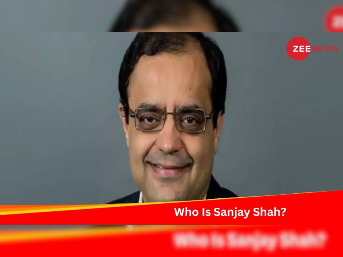 Vistex CEO Sanjay Shah Passes Away In Silver Jubilee Program Accident ...