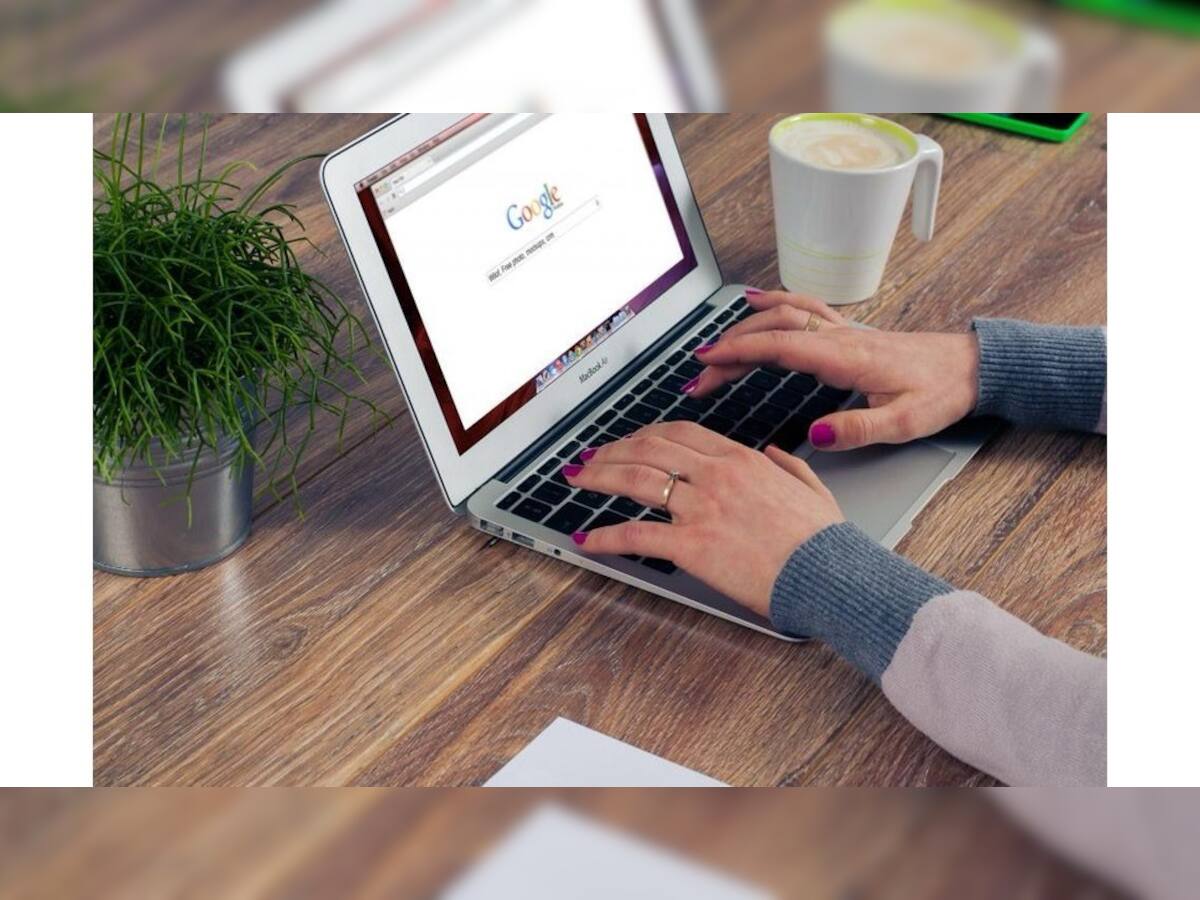 Search Sprout: Nurturing Digital Success Through Expert SEO Services