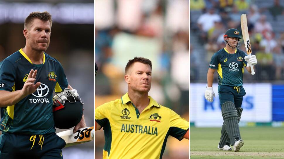 David Warner: A Look At Australia Batter's Career With Top Stats - In ...