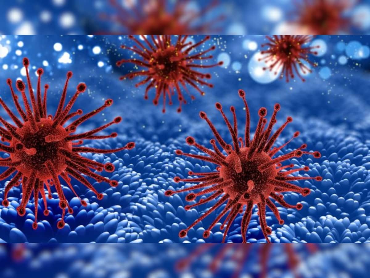 What Is Alaskapox Virus And How Fatal Is It: Symptoms, Ways Of ...