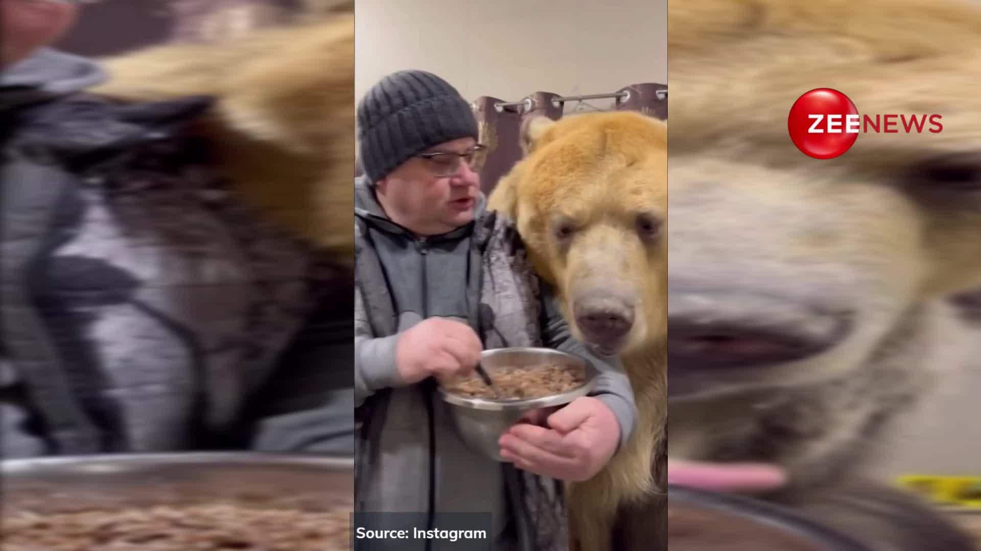 VIRAL VIDEO: Adorable Moment As Man Astonishes Internet By Hand-Feeding ...