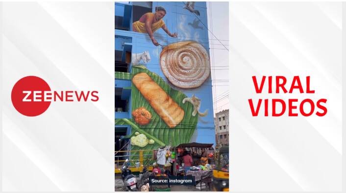 VIRAL VIDEO: Singaporean Artist's Food-Inspired Mural Wows Tamil Nadu ...
