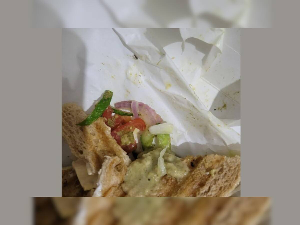 Zomato Customer Finds Cockroach In Sandwich Ordered From Zomato; Here’s ...