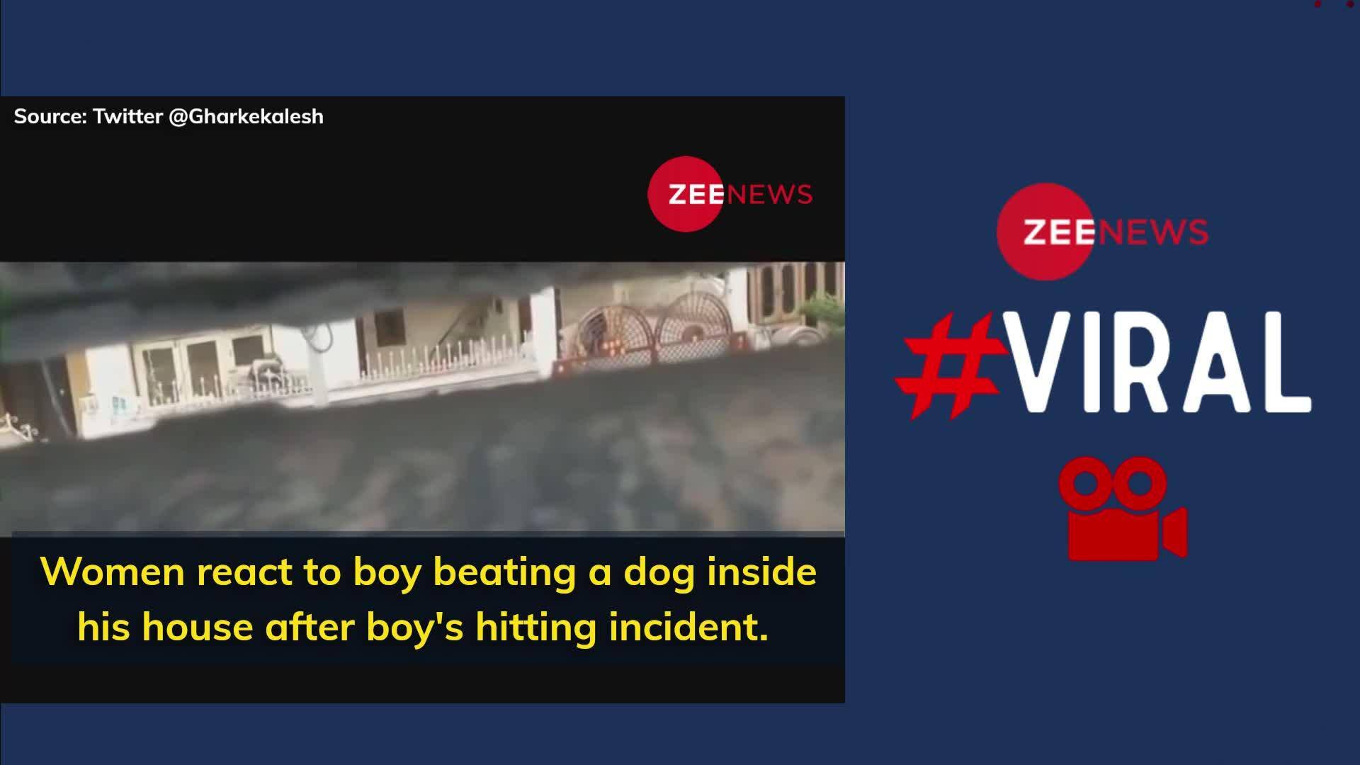 Viral Video: Women React To Boy Beating A Dog Inside His House After ...