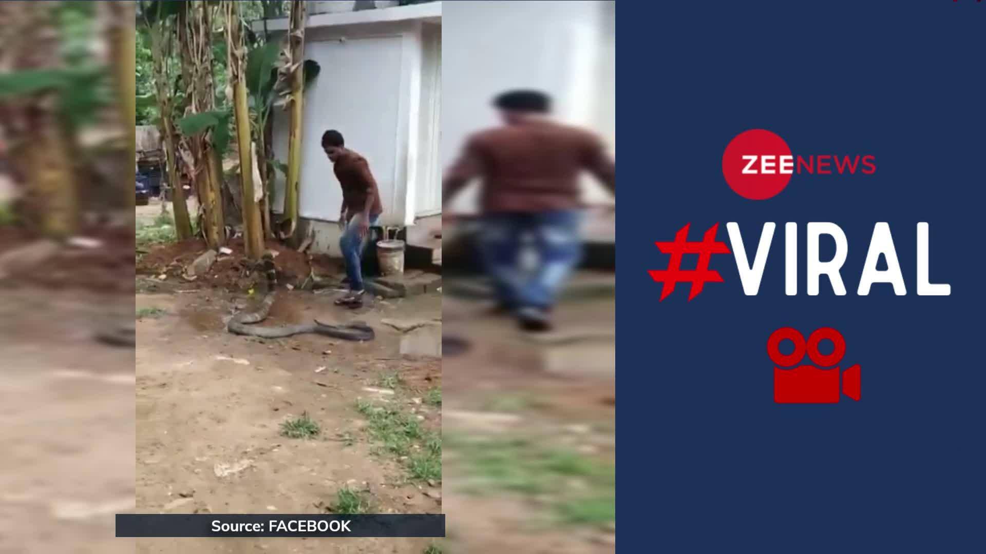 Viral Video: Man Gives King Cobra Bath Using Bucket Water - Watch | Zee ...