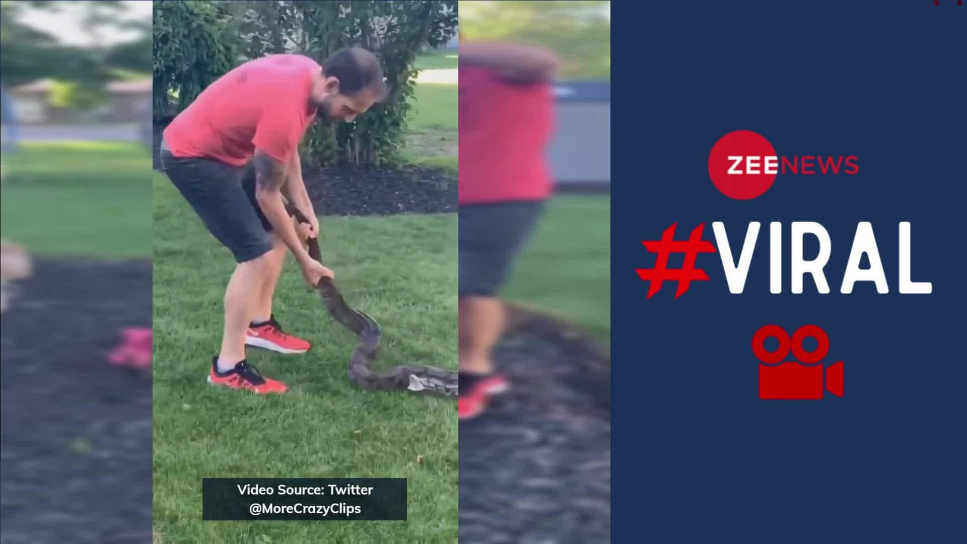 Viral Video: Man's Mishandling Of Snake Results In Deadly Attack ...