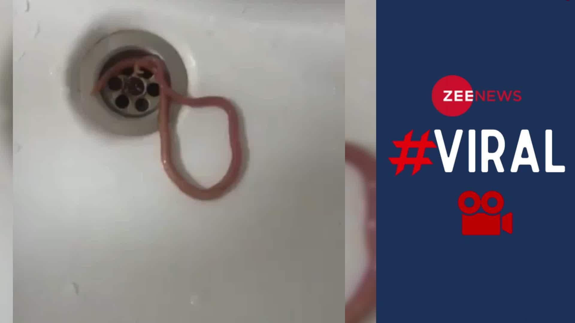 Viral Video: Man Vomits Live Worms After Experiencing Nausea -Shocking ...