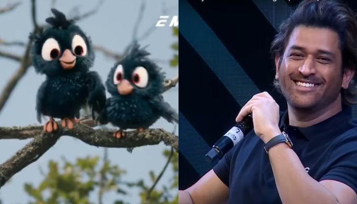 MS Dhoni Troll Trollers By Singing 'Bole Jo Koyal' Song In Viral Video ...