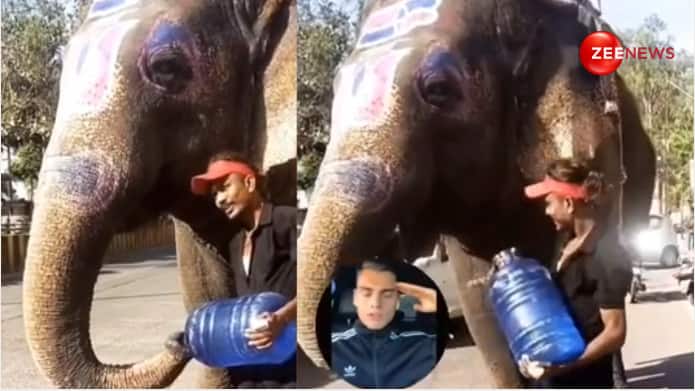 Elephant Viral Video: Heartwarming Rescue Of Thirsty Elephant By ...