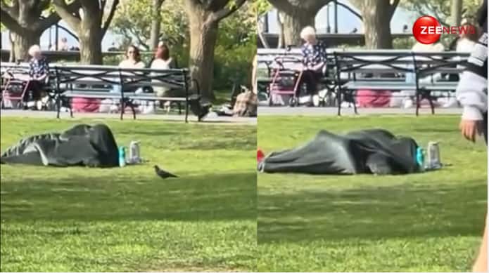 Viral Video: Couple's Intimate Act Caught On Camera Sparks Outrage In ...