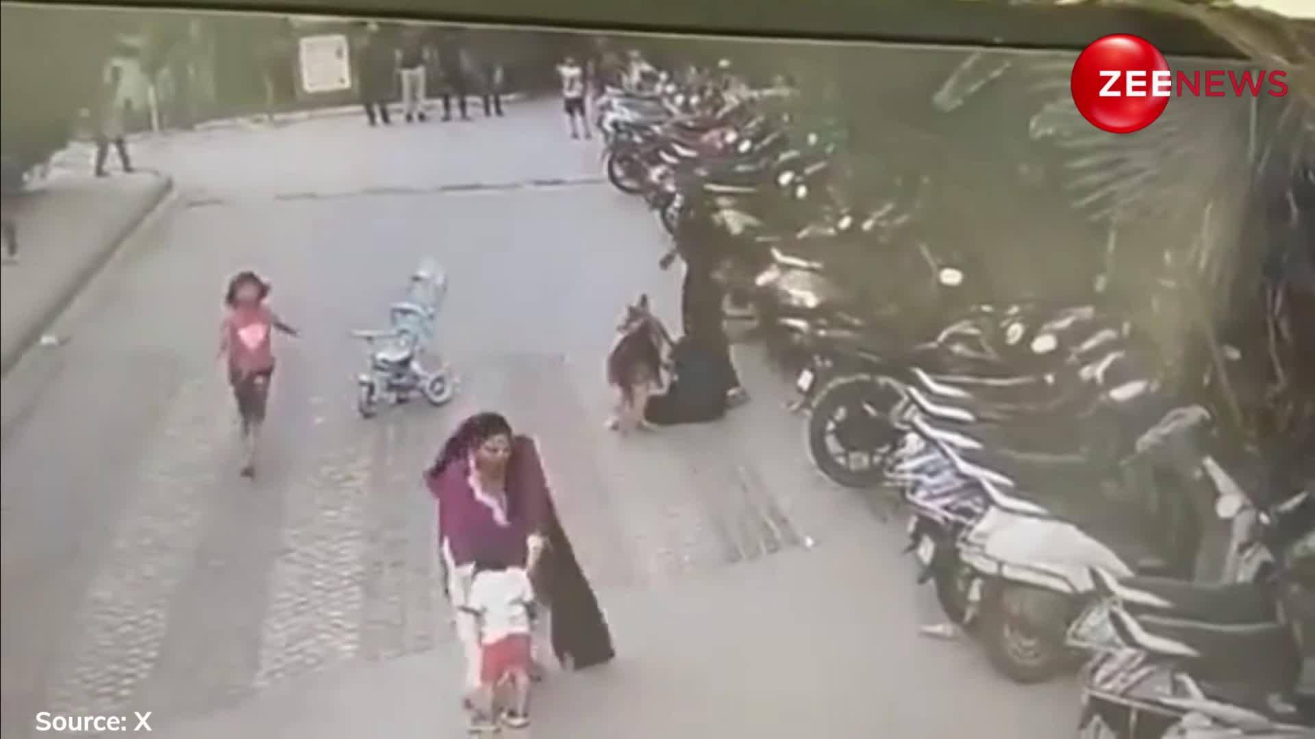 Ghaziabad Authority Fines Dog Owner Rs 10,000 After Pet German Shepherd ...