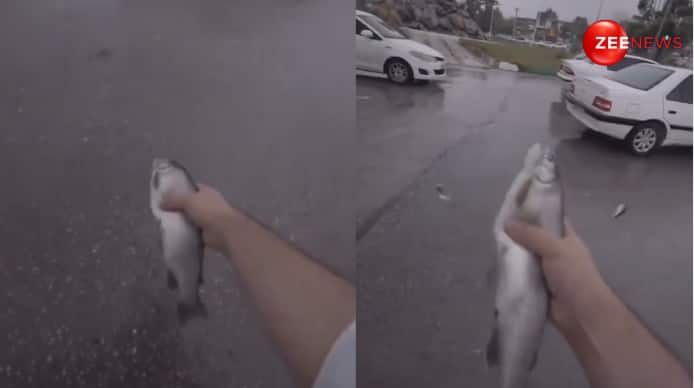 Fish Rain Down In Iran: First-Of-its-Kind Phenomenon Stuns Social Media ...