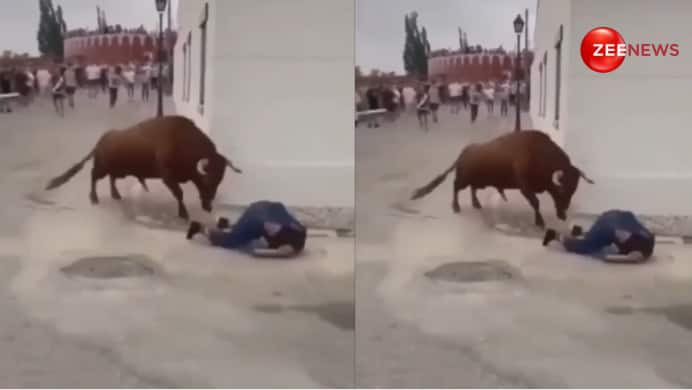 Viral Video: Woman Attacked By Bull While Standing On Roadside, Leaves ...