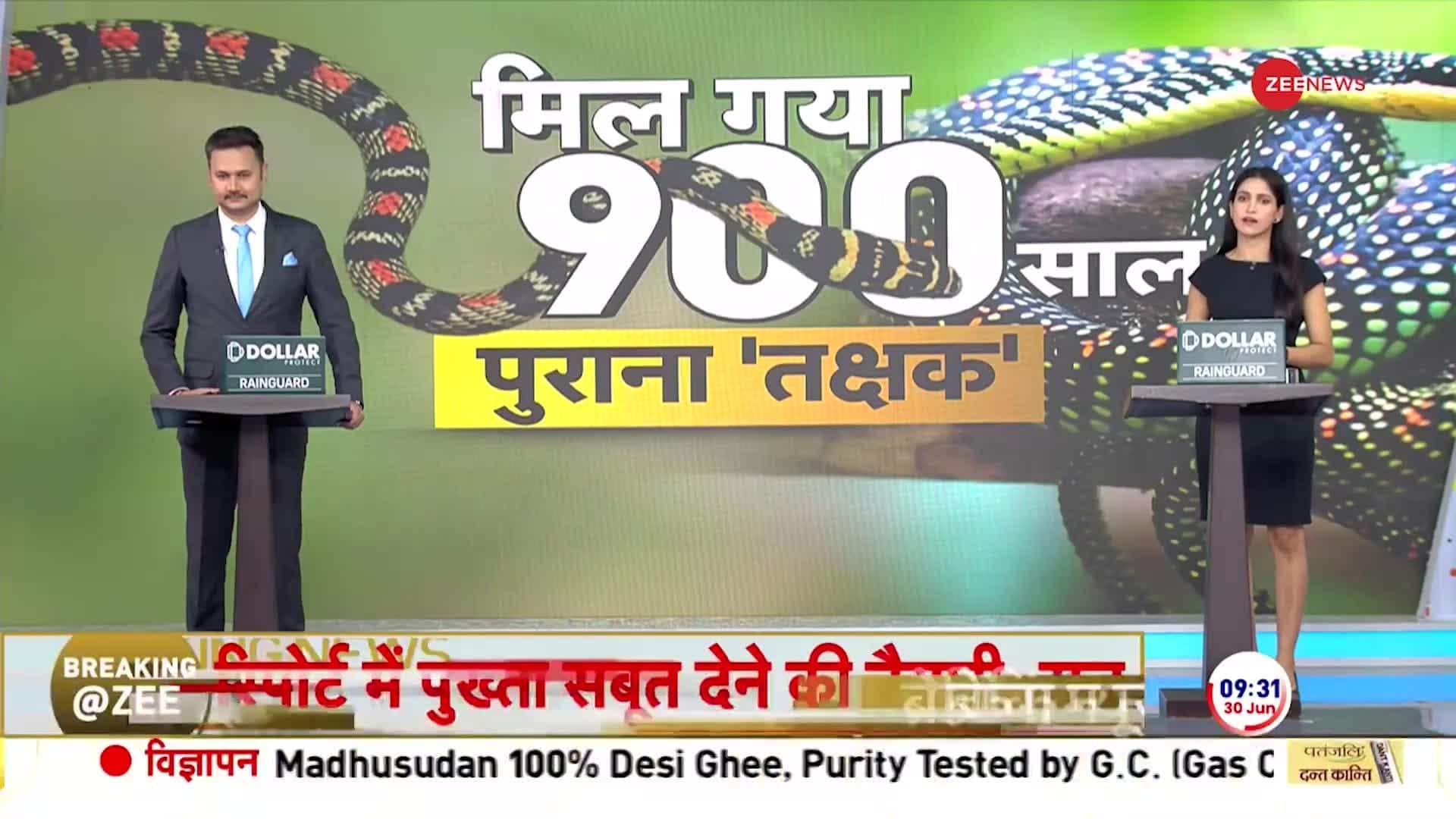 Takshak snake recovered from Bihar's Valmikinagar | Zee News