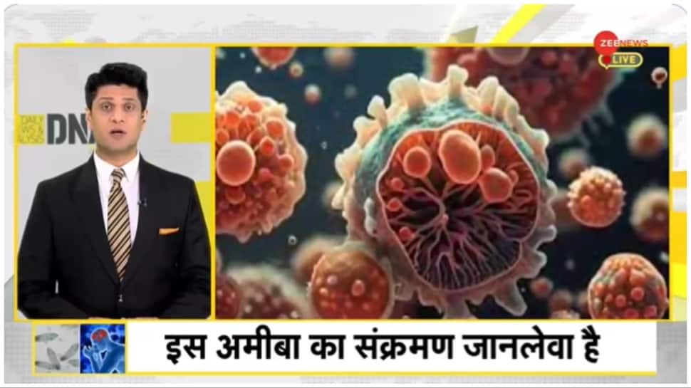 DNA: Brain-Eating Amoeba Claims Lives of Children in Kerala | India ...