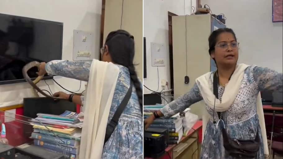 'Brave': Woman Catches Snake With Ease; Viral Video Impresses Netizens ...