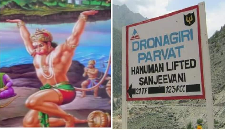 Does Sanjeevani Plant Still Exists? Miracle Selaginella bryopteris ...