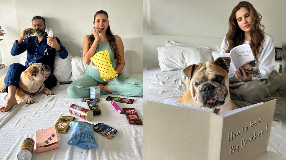 Sonnalli Seygall Announces Pregnancy With Heartwarming Post: 'From Beer ...