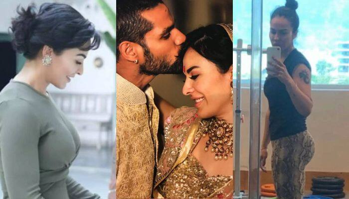 EXPLAINED: Why Did Shikhar Dhawan Divorced Wife Aesha Mukerji? | News ...