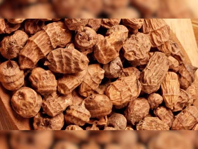 Move Over Almonds And Walnuts! Tiger Nuts Can Be Your Favourite ...