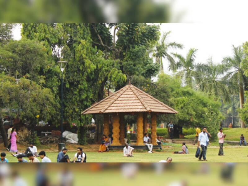 7 Fun Activities To Do in Kozhikode | News | Zee News
