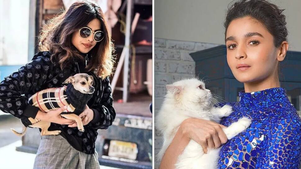 7 Bollywood Celebrities and Their Adorable Pets | News | Zee News