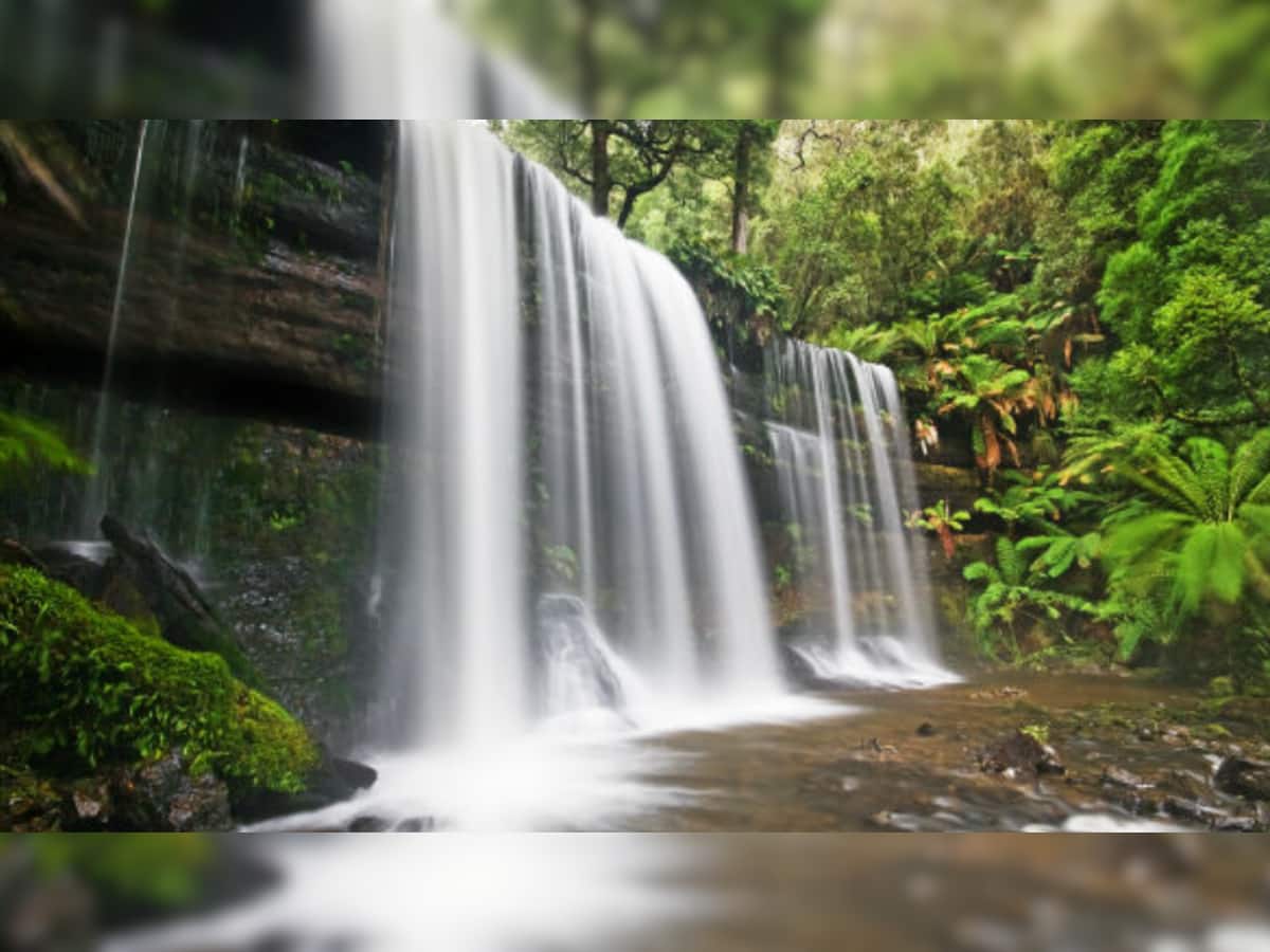 Discover the Untouched Beauty: 7 Hidden Waterfalls in Northeast India ...